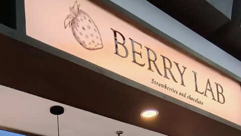 Berry Lab - Centro Comercial Andino Pagina Oficial